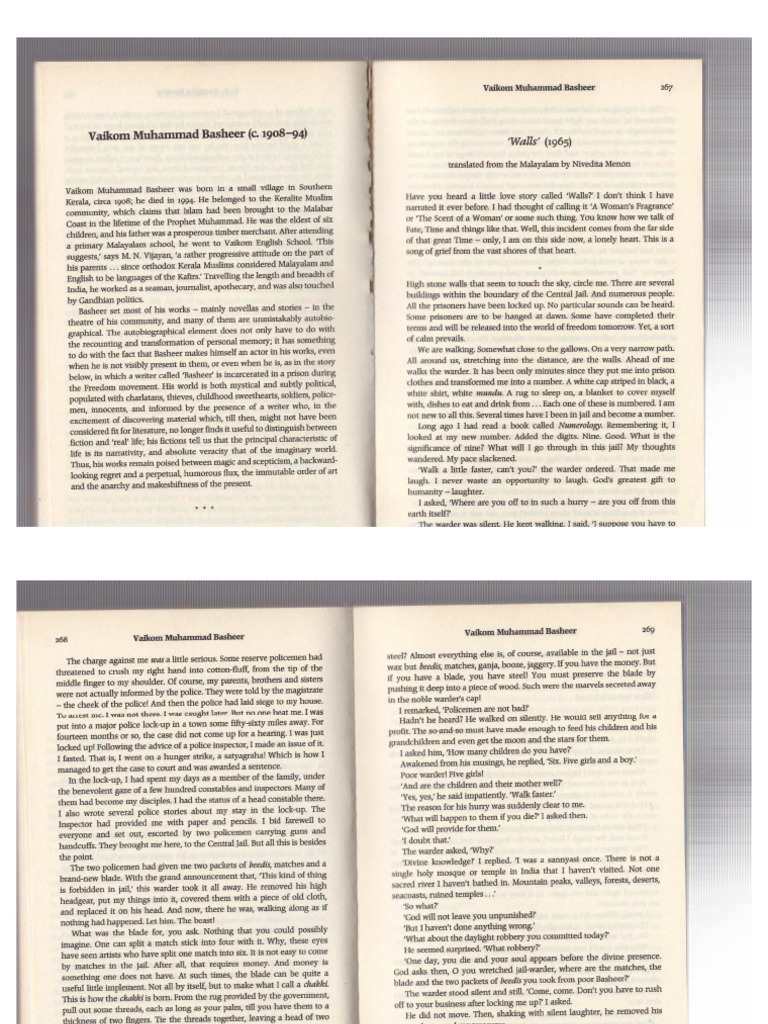 Walls by Basheer | PDF