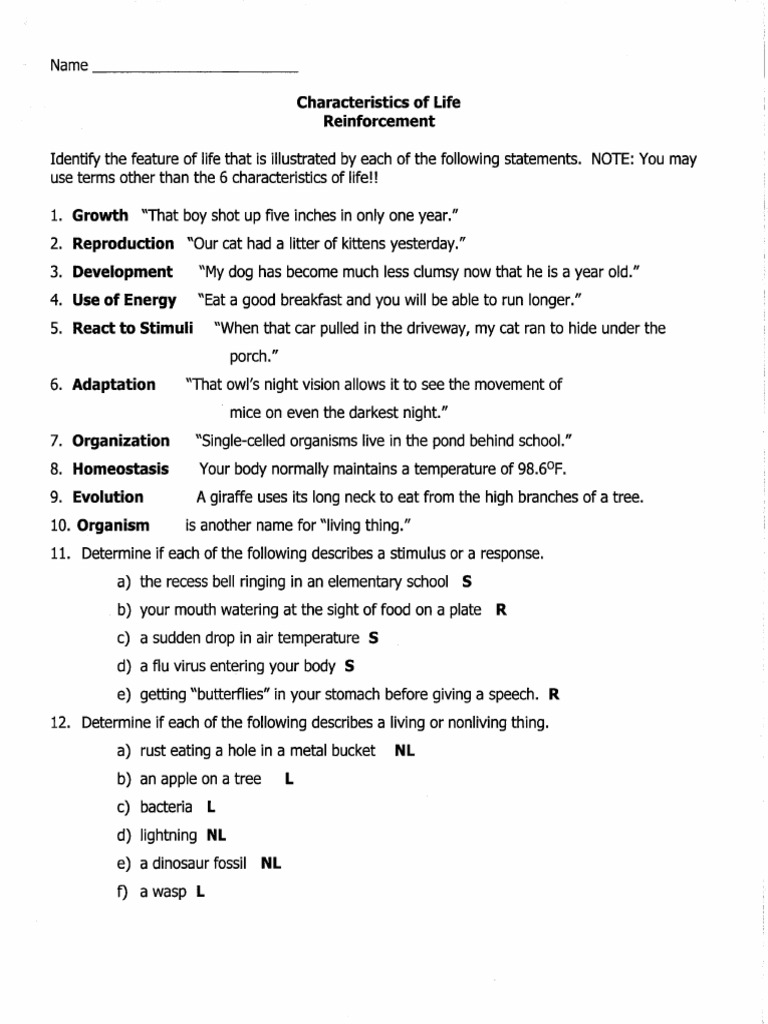 Characteristics of Life Reinforcement | PDF