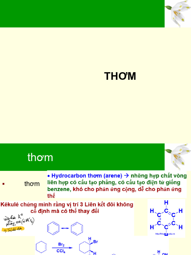 Chapter 7 - Arene | PDF