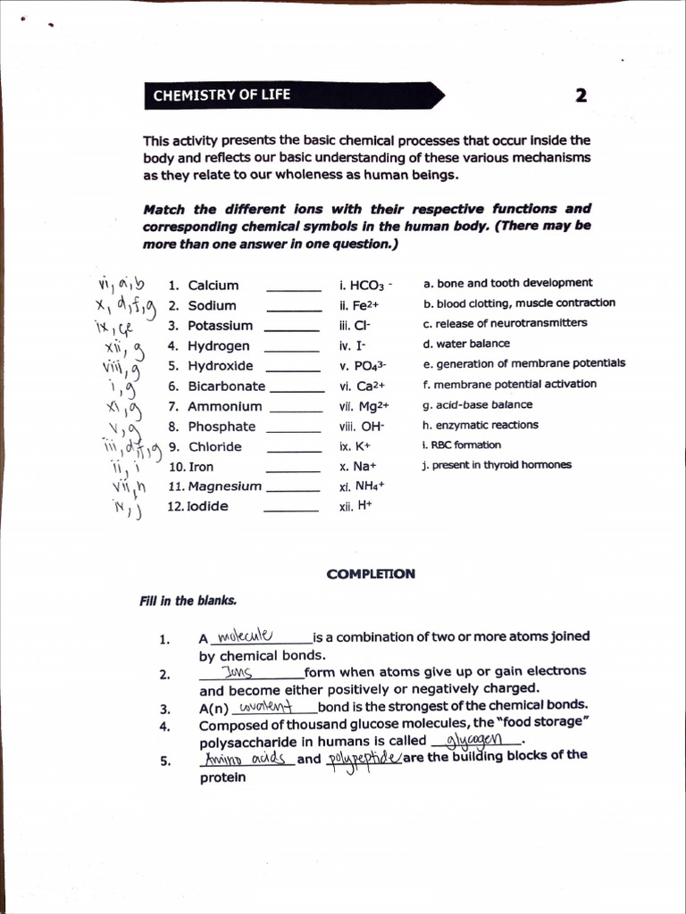Dlab Activity 2 Pdf