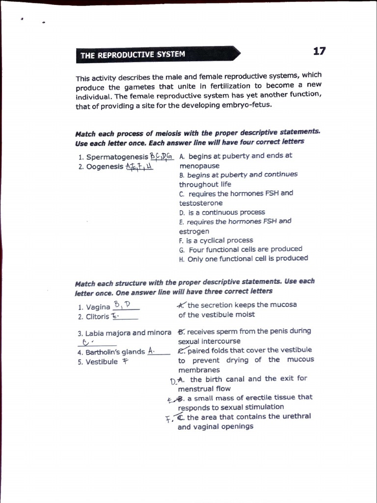 DLab Activity 17 | PDF