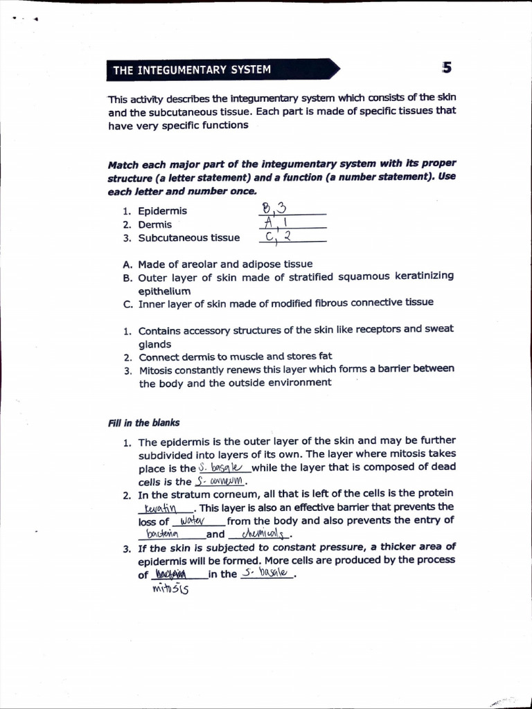 DLab Activity 5 | PDF