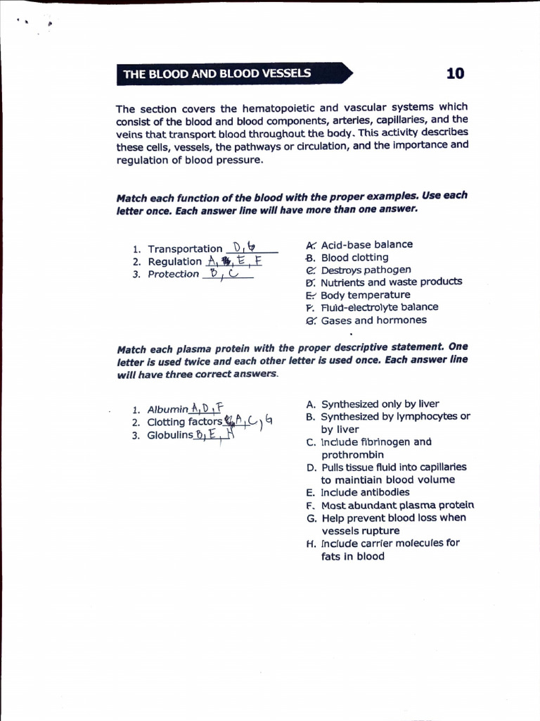 DLab Activity 10 | PDF