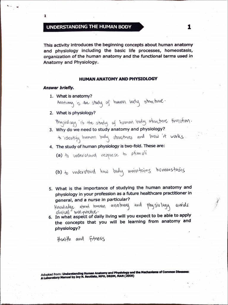 DLab Activity 1 | PDF