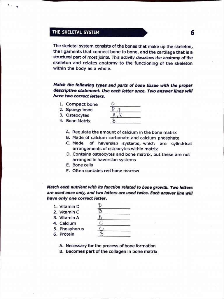 DLab Activity 6 | PDF