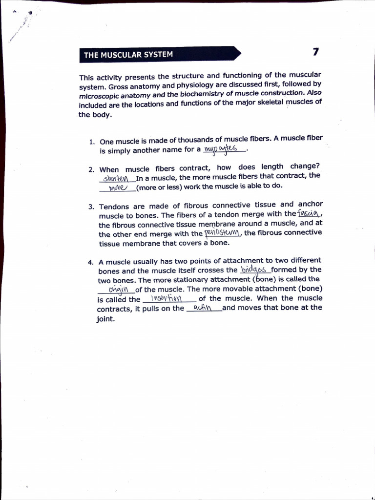 DLab Activity 7 | PDF