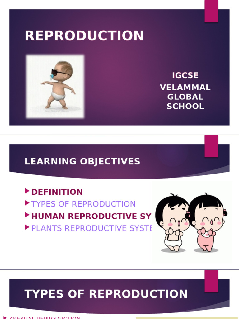 Chapter 16 - Reproduction | PDF | Reproductive System | Fertilisation