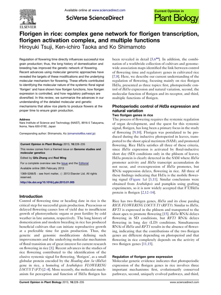 CH C Năng Khác C A Florigen | PDF | Gene Expression | Molecular Genetics