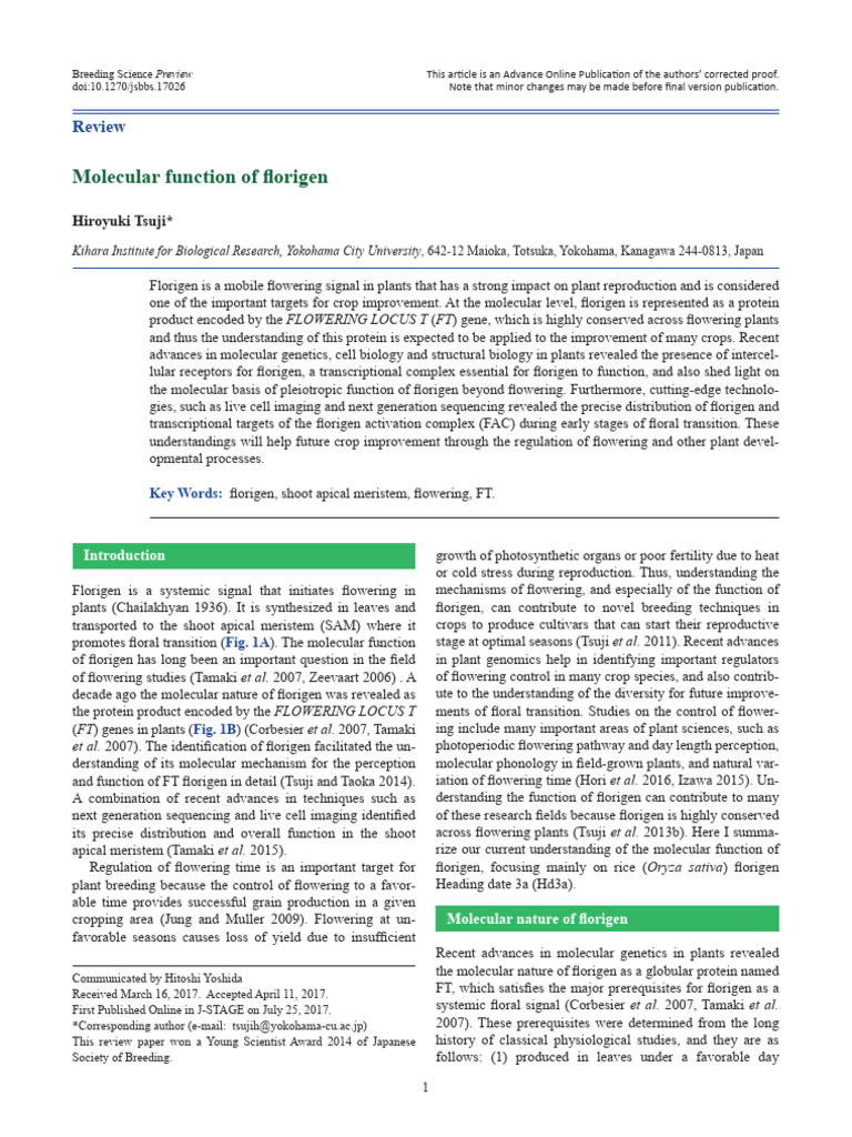 Florigen's Role in Crop Breeding | PDF | Genetics | Biology