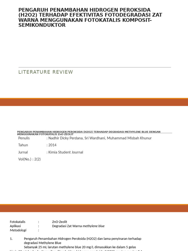 Progress Report | PDF