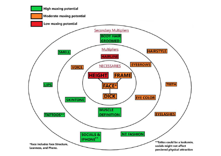 Looksmaxxing Chart | PDF