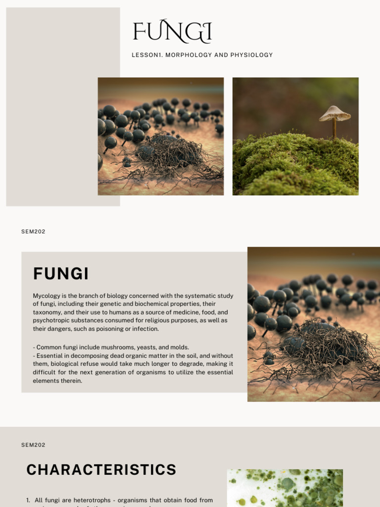 Lectureonfungi Part1 Pdf Fungus Sexual Reproduction