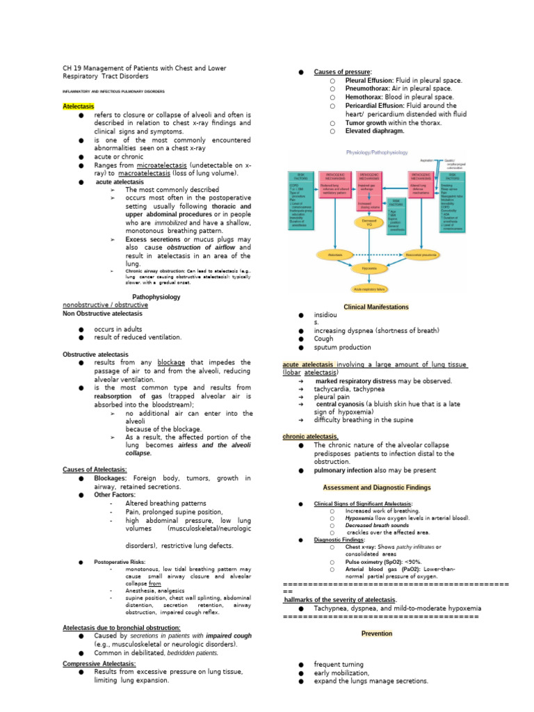 Ms CH 19 Lower Respi | PDF | Pneumonia | Respiratory Diseases