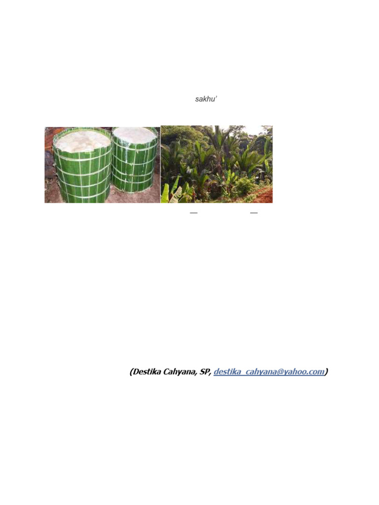 Sagu | PDF