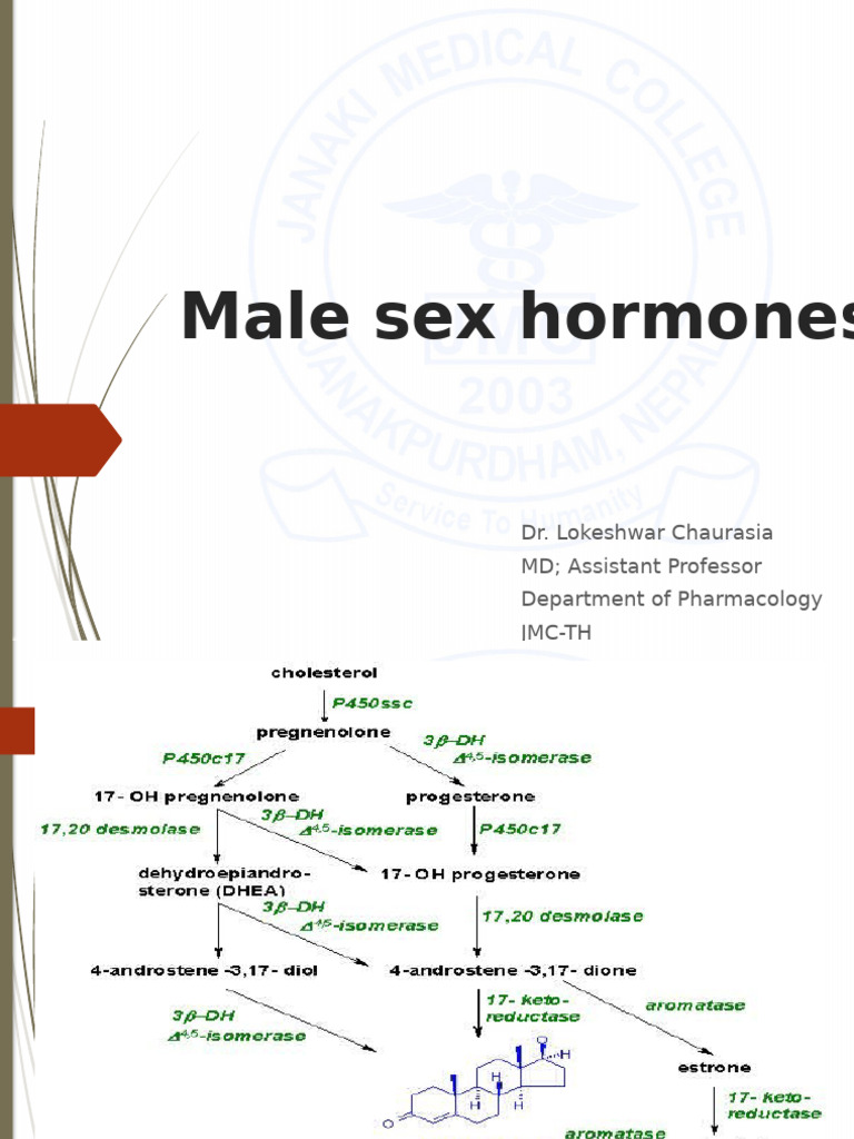 MAle Sex Hormones and Anabolic Steroids | PDF | Luteinizing Hormone ...