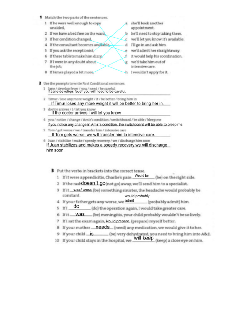 Assignment 2 Conditional Sentences | PDF