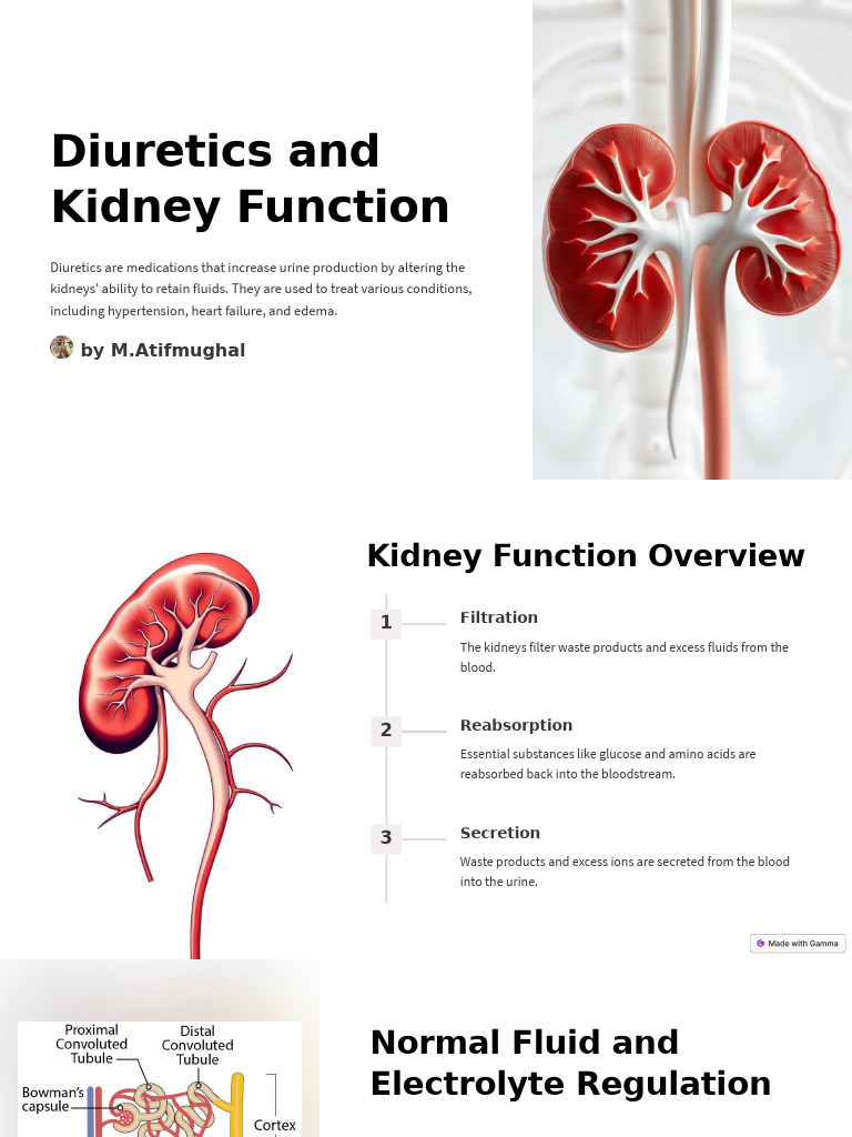 Diuretics and Kidney Function | PDF | Kidney | Abdomen