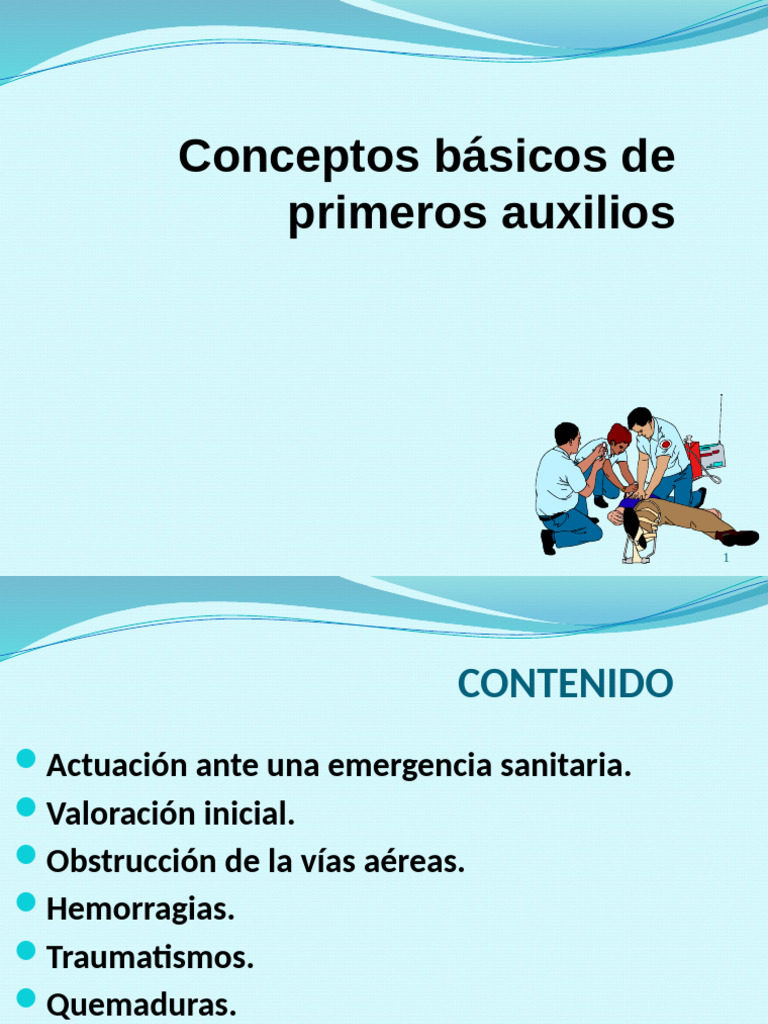 Primeros Auxilios Basico | PDF | Reanimación cardiopulmonar | Primeros auxilios