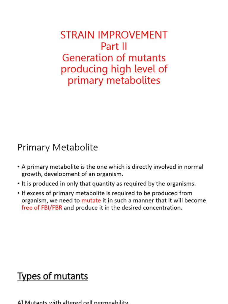 Strain Improvement Part 2 | PDF | Biosynthesis | Lysine