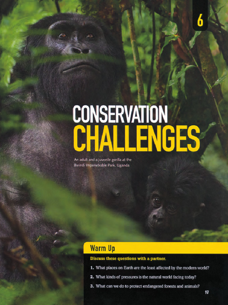 Document From Zoya Aslam | PDF