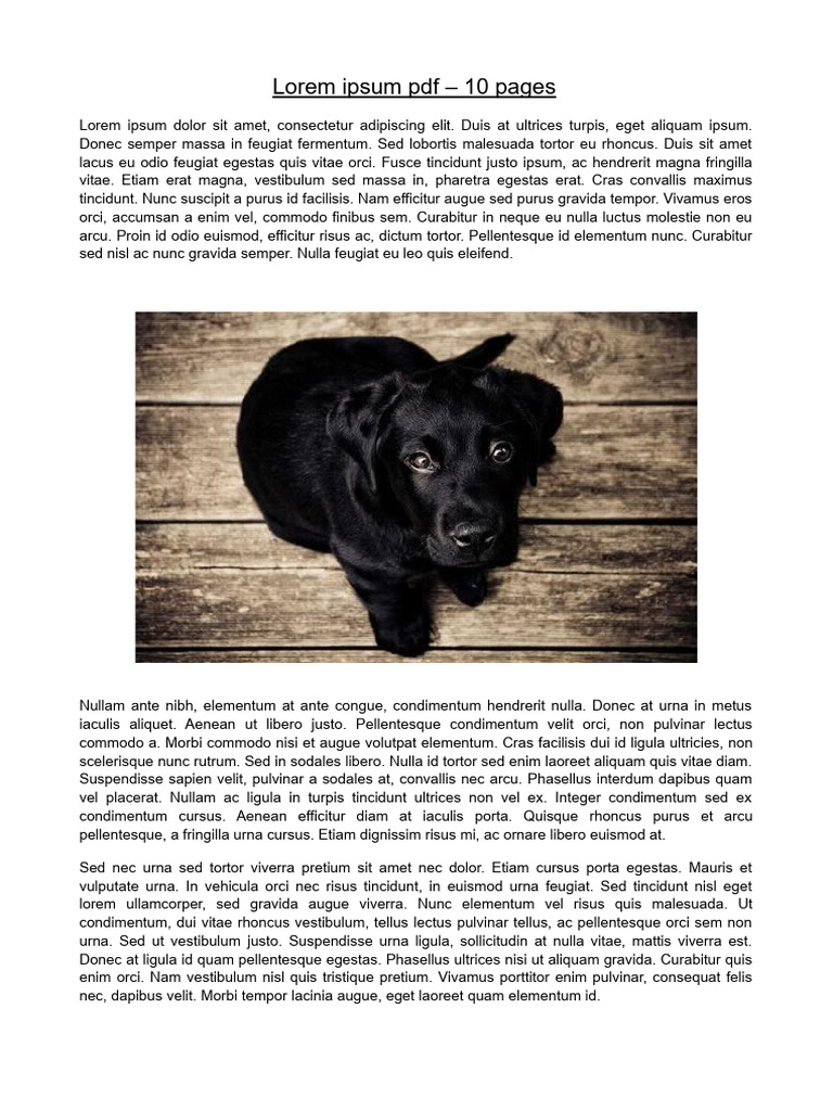 Lorem Ipsum 10pages | PDF