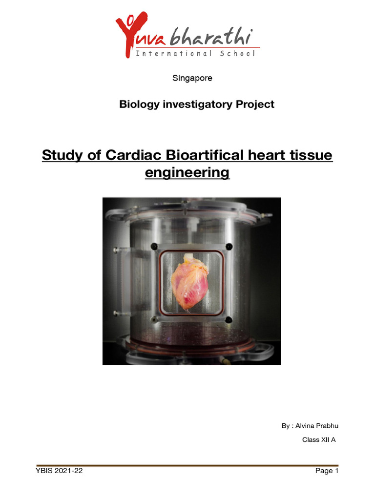 Study of Cardiac Bioartical Heart Tissue Engineering | PDF | Heart ...