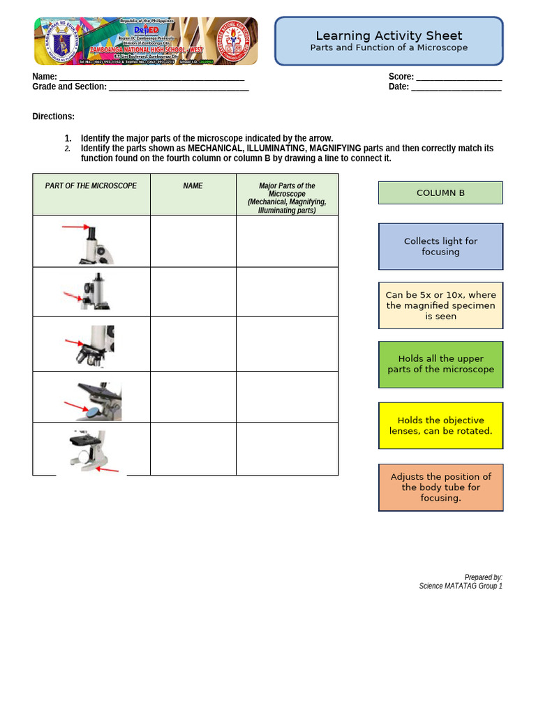 LAS - Partis and Function of A Microscope | PDF | Microscope | Laboratory Equipment