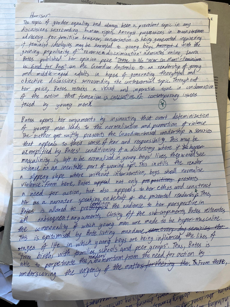 Marked Up Essay With Annotations | PDF