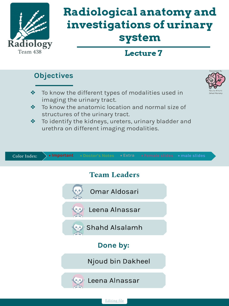 Urinary System Imaging Techniques | PDF | Kidney | Medical Imaging