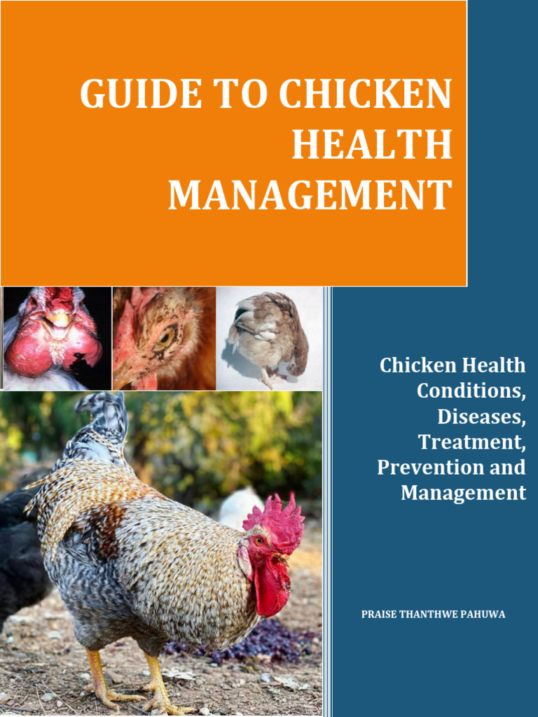 Guide To Chicken Health | PDF | Influenza | Avian Influenza