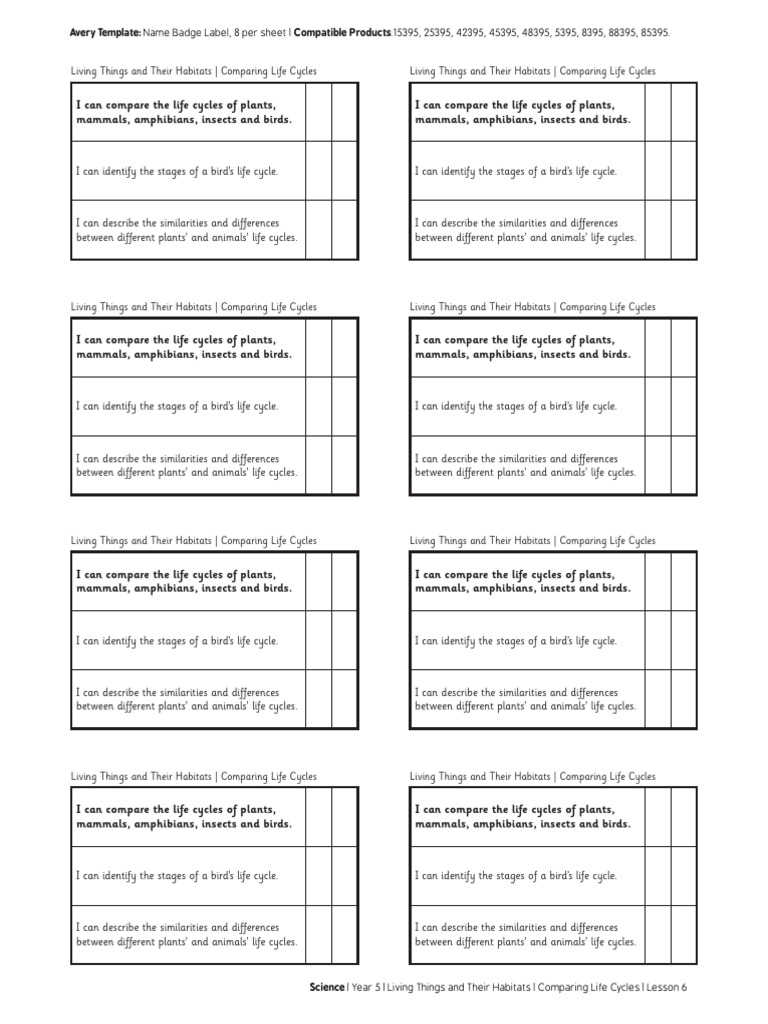 Success Criteria Grids Comparing Life Cycles | PDF | Organisms | Zoology