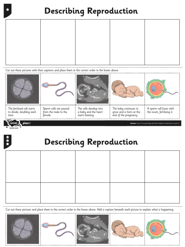 Activity Sheet Describing Reproduction | PDF | Wellness | Science ...