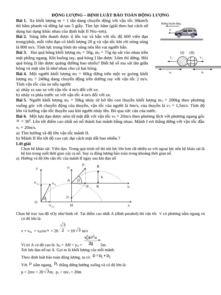 Bao Toan Dong Luong | PDF