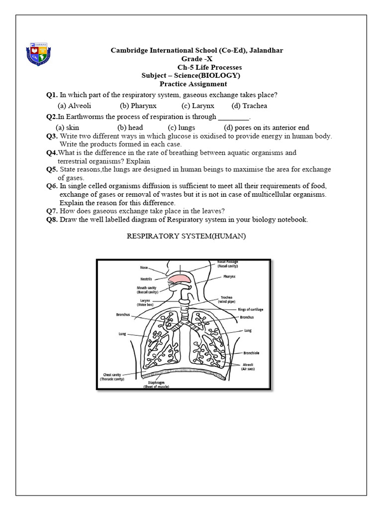 Cambridge International School (Co-Ed), Jalandhar Grade - X Ch-5 Life Processes Subject Science ...