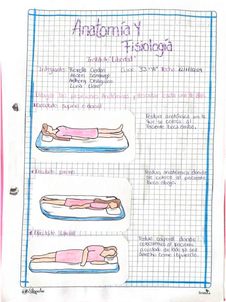 Posiciones Anatomicas | PDF