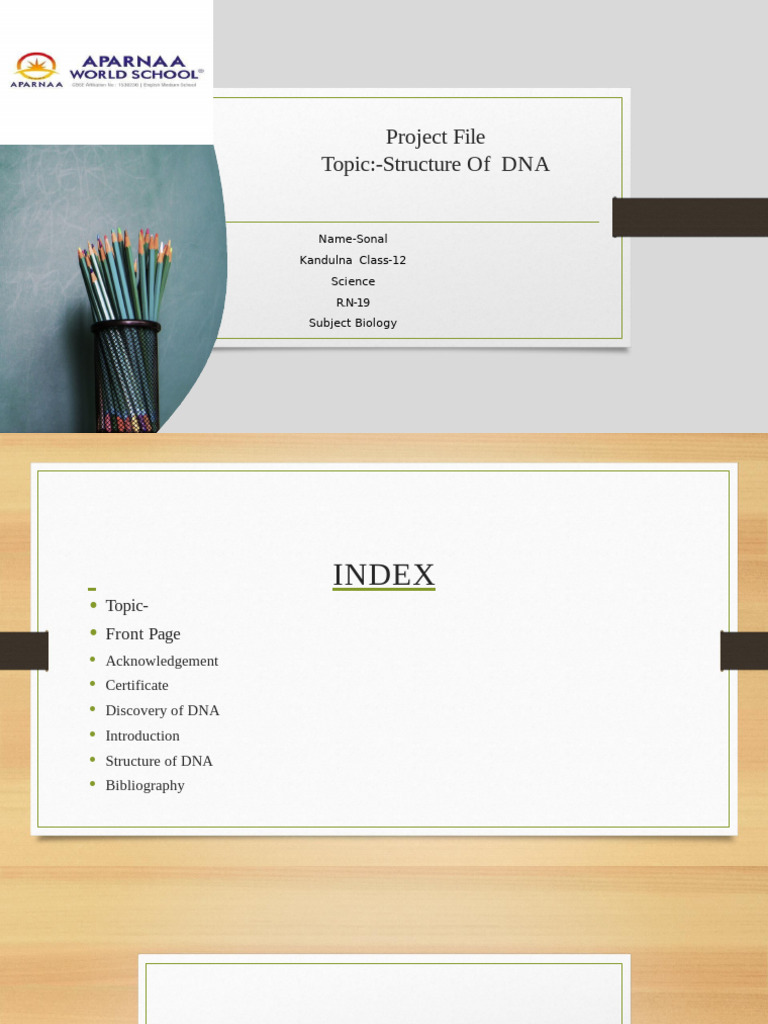 Structure of DNA: Key Insights | PDF | Dna | Nucleotides