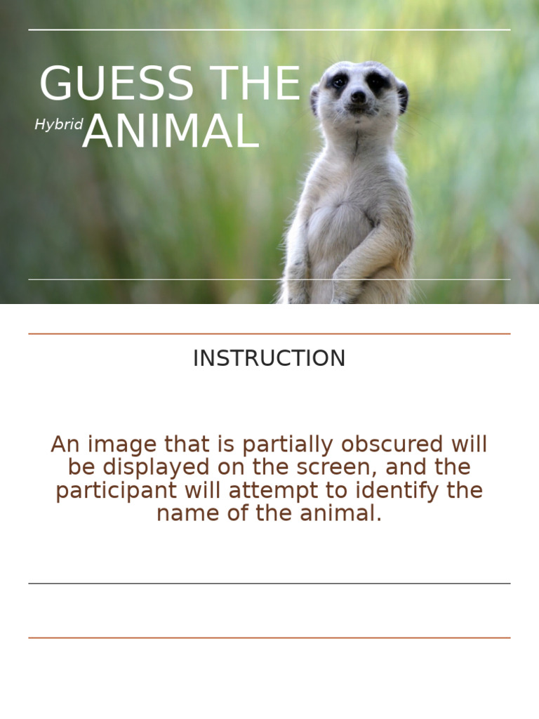 Guess the Animal Game Instructions | PDF