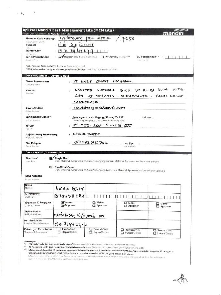 MCM Lite PT Eazy Smart Tranning | PDF