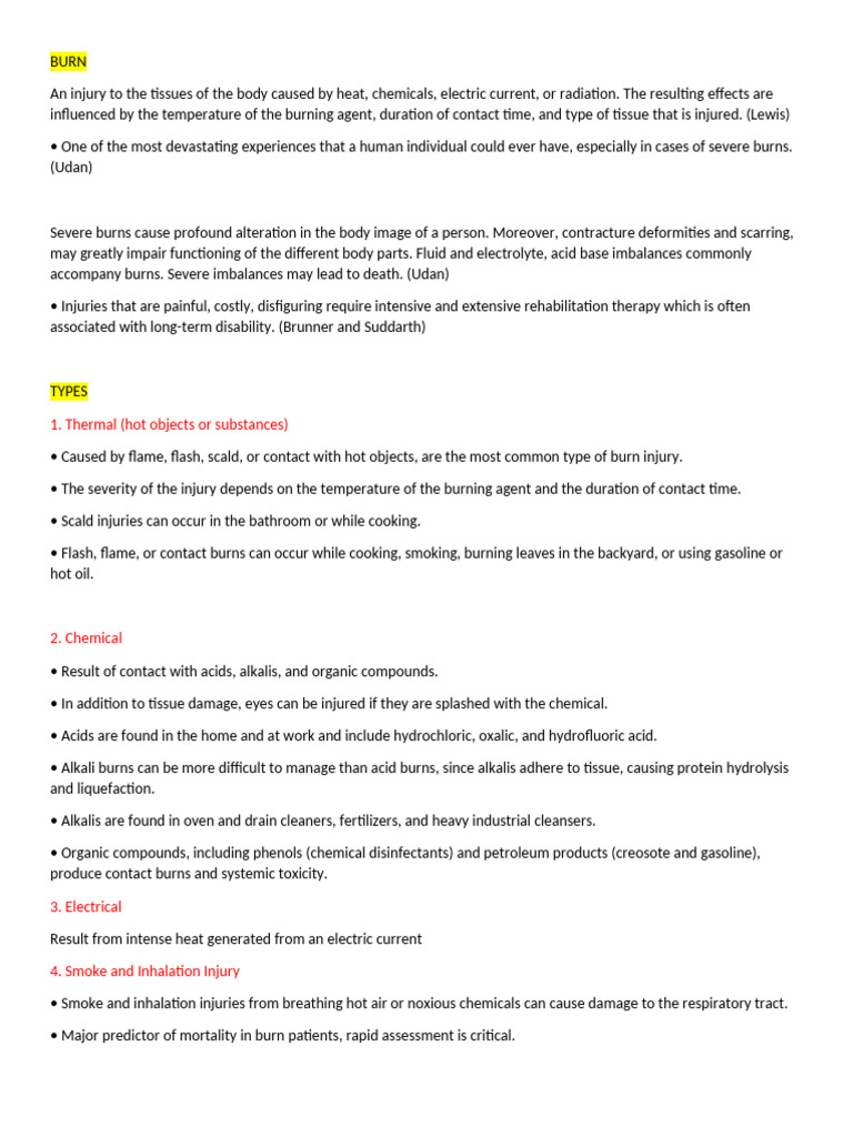 BURN | PDF | Burn | Respiratory Tract