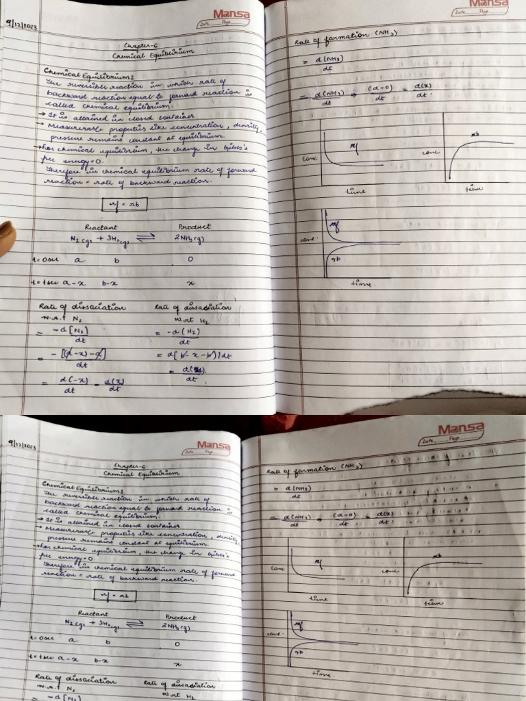 Chemical Equilibrium | PDF | Chemistry | Physical Sciences