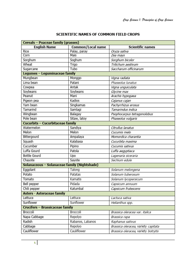 Scientific Names of Crops | PDF | Bean | Broccoli