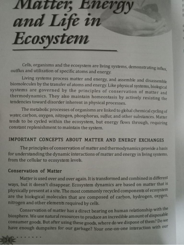 Envisci Module 4 | PDF