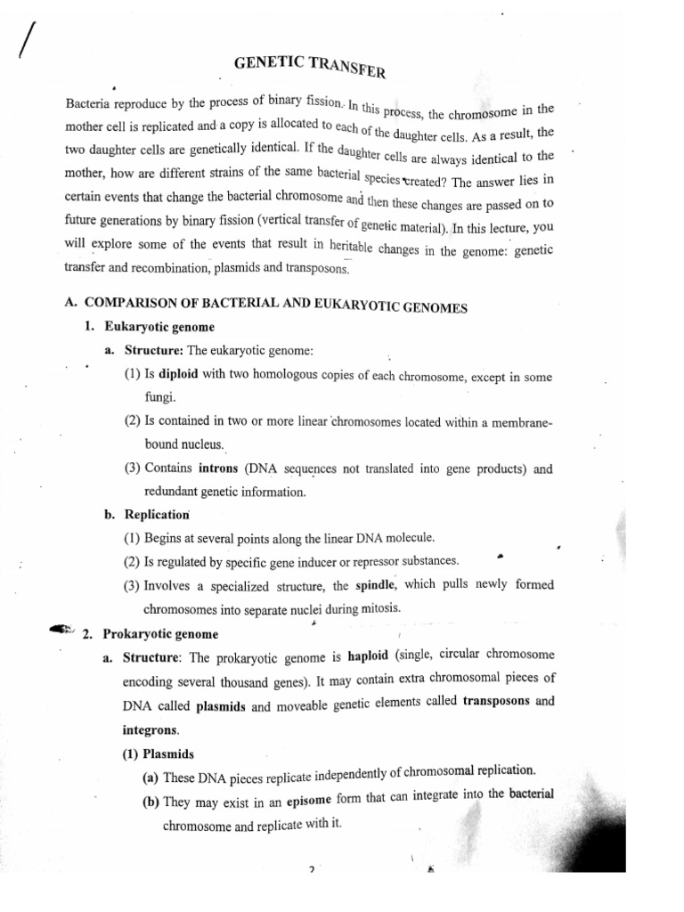 Fungi Reproduction | PDF