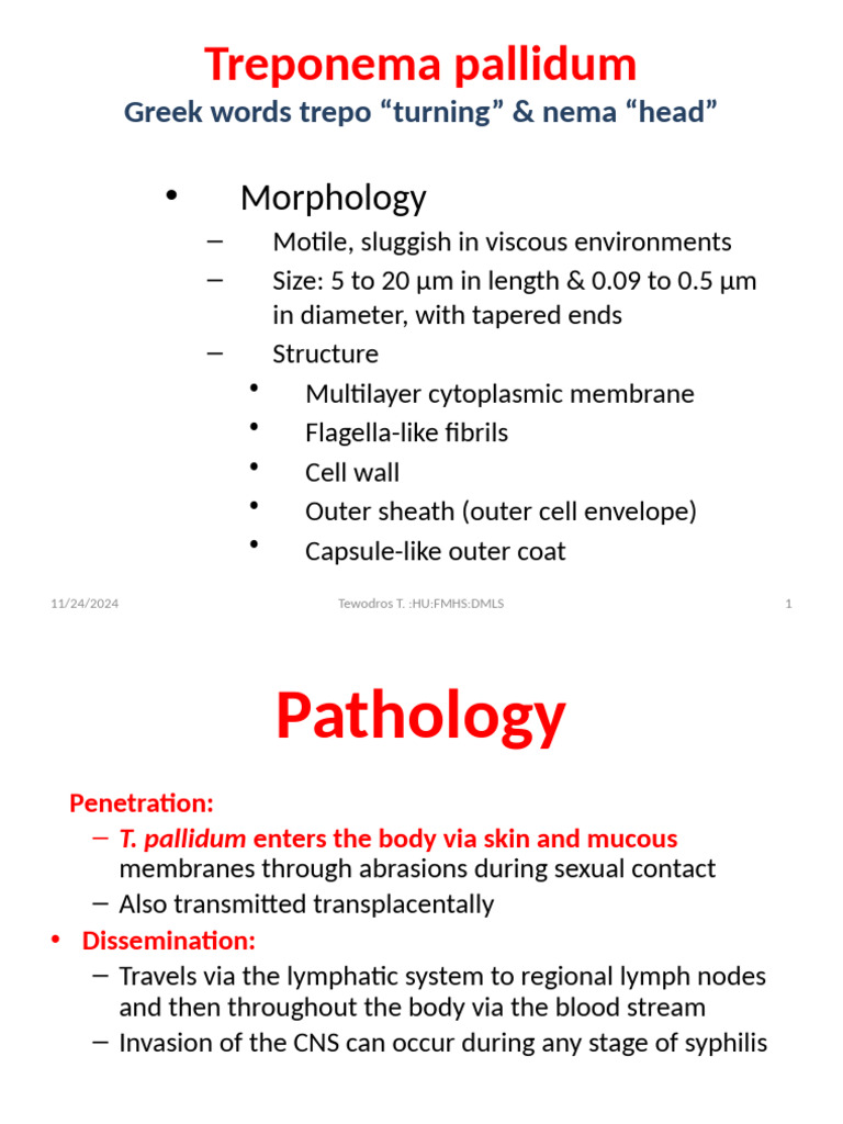 Syphilis | PDF | Animal Diseases | Causes Of Death