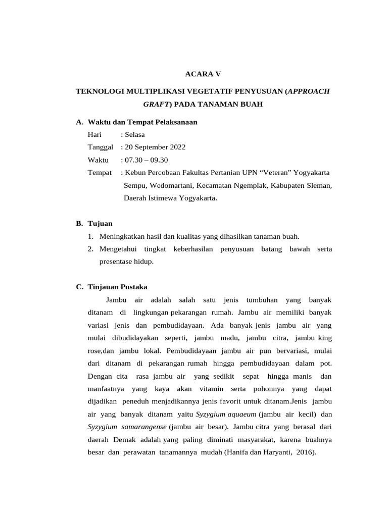 Acara V - Amanda | PDF