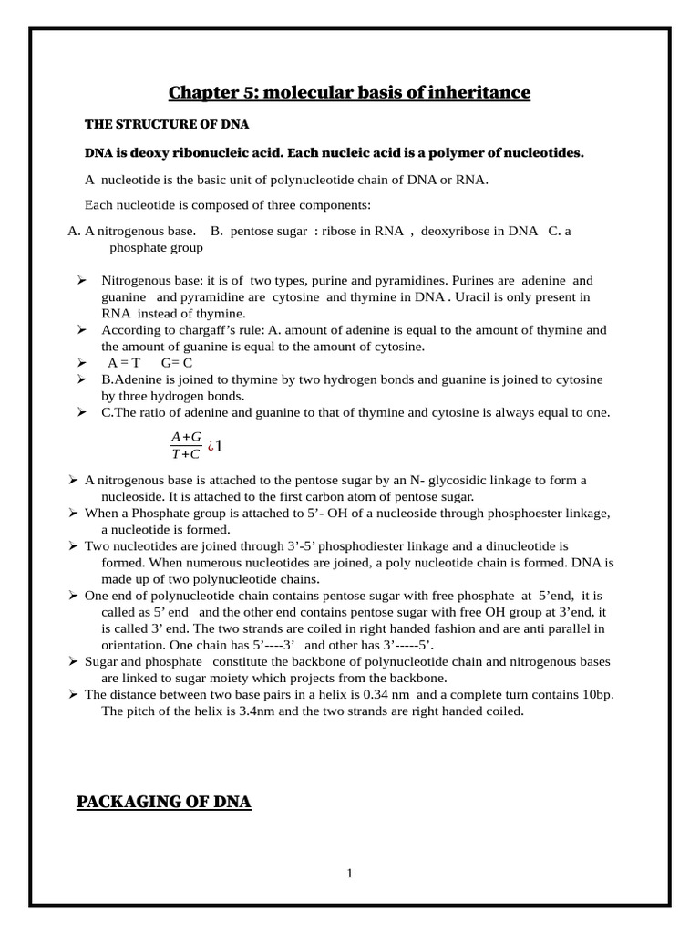 NOTES- MOLECULAR BASIS OF INHERITANCE | PDF | Operon | Dna Replication