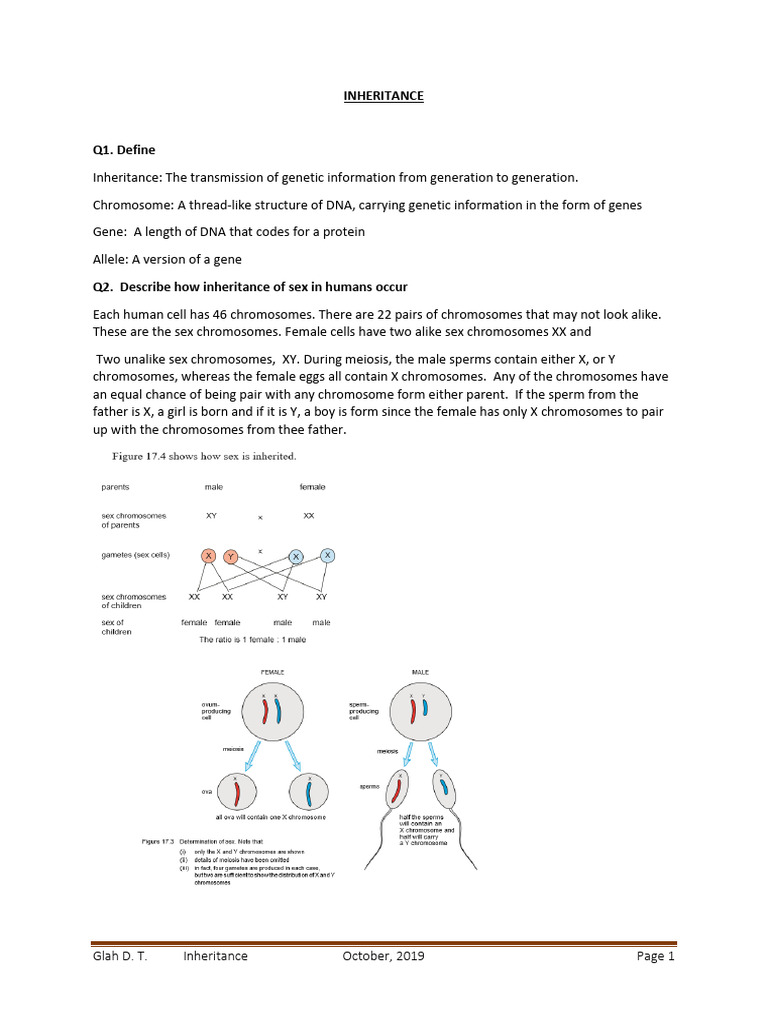 INHERITANCE | PDF | Dominance (Genetics) | Zygosity