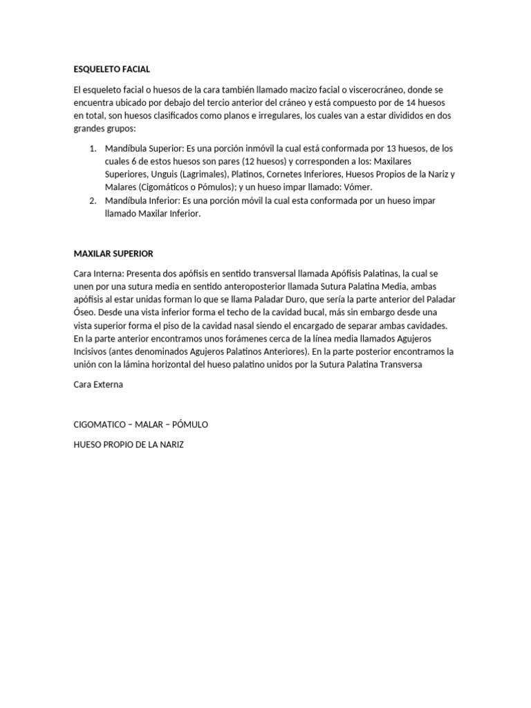 Esqueleto Facial: Huesos y Estructura | PDF | Artes del Lenguaje y ...