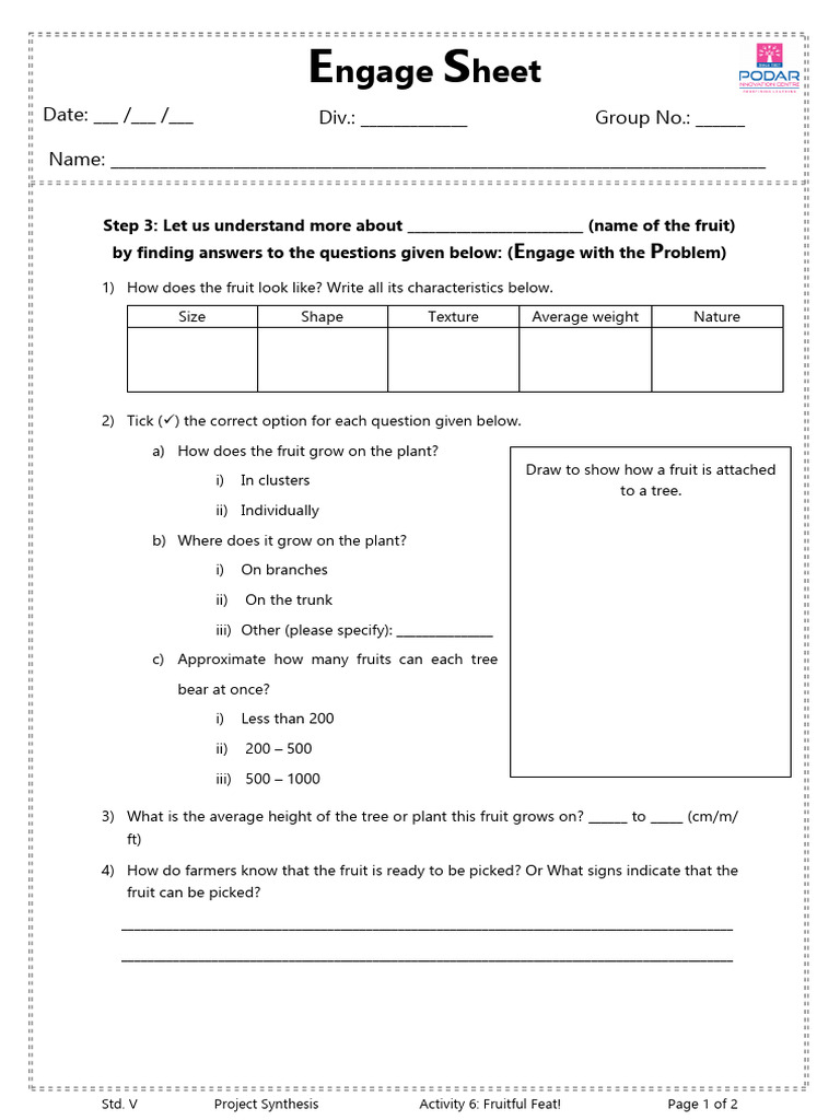 5 AS STD V Activity 6 Engage | PDF | Trees | Plants