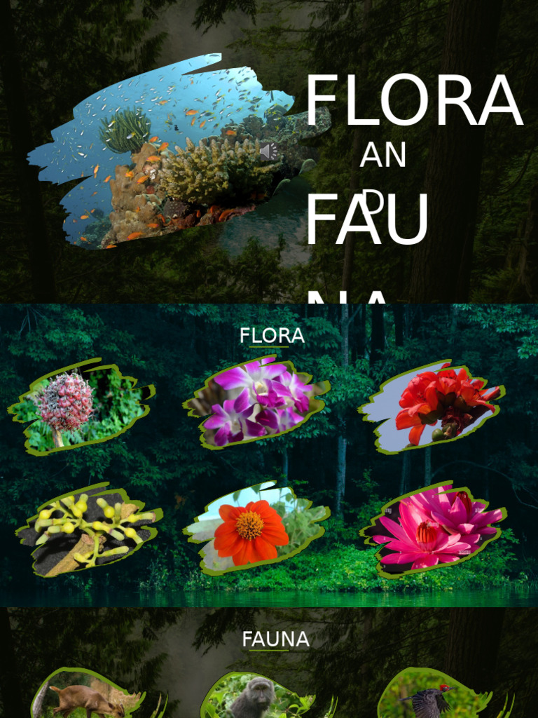 Flora and Fauna | PDF